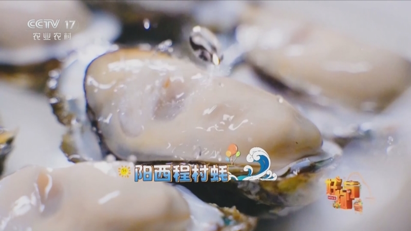 《乡村大舞台》 20241221 好物节