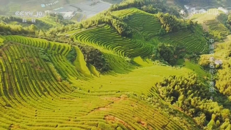 《地理·中国》 20260708 中国风景名片——梯田5