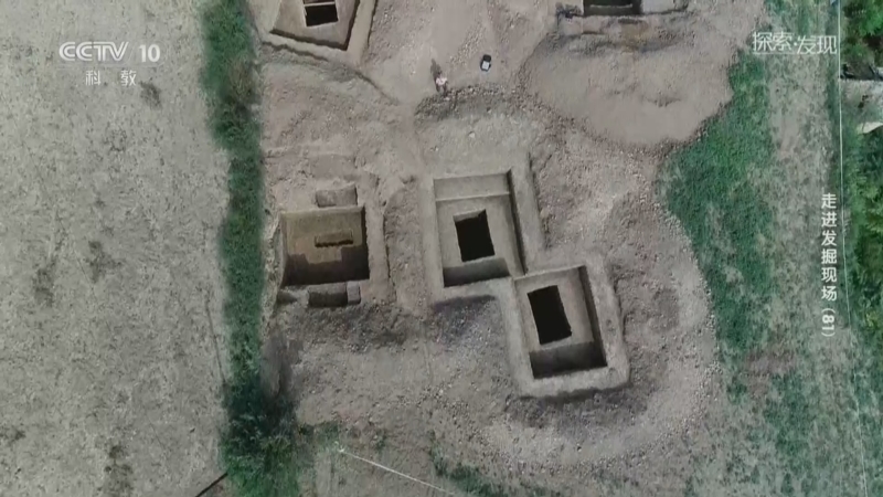 《探索·发现》 20260709 走进发掘现场（81）