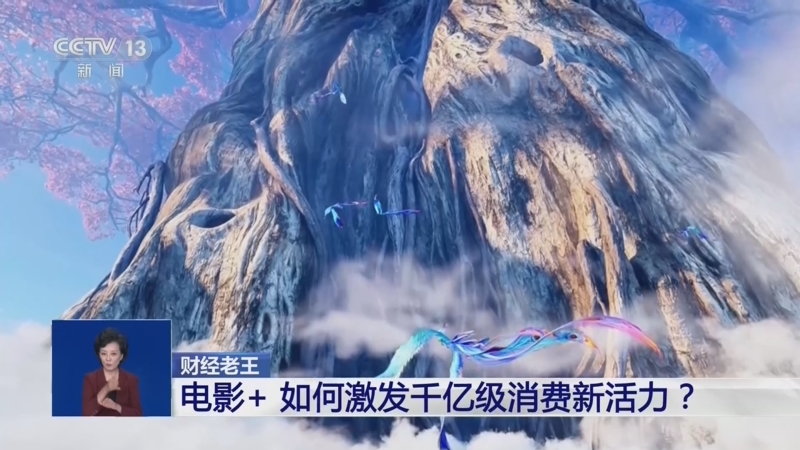 《共同关注》 20260806