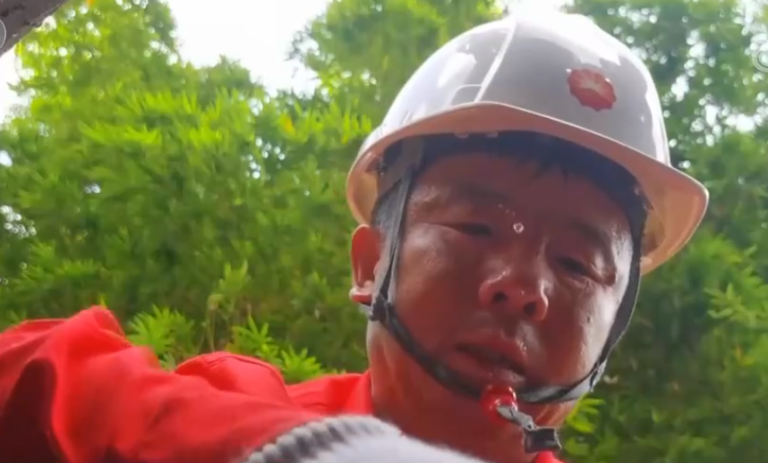 CCTV-12社会与法频道节目官网_CCTV节目官网_央视网