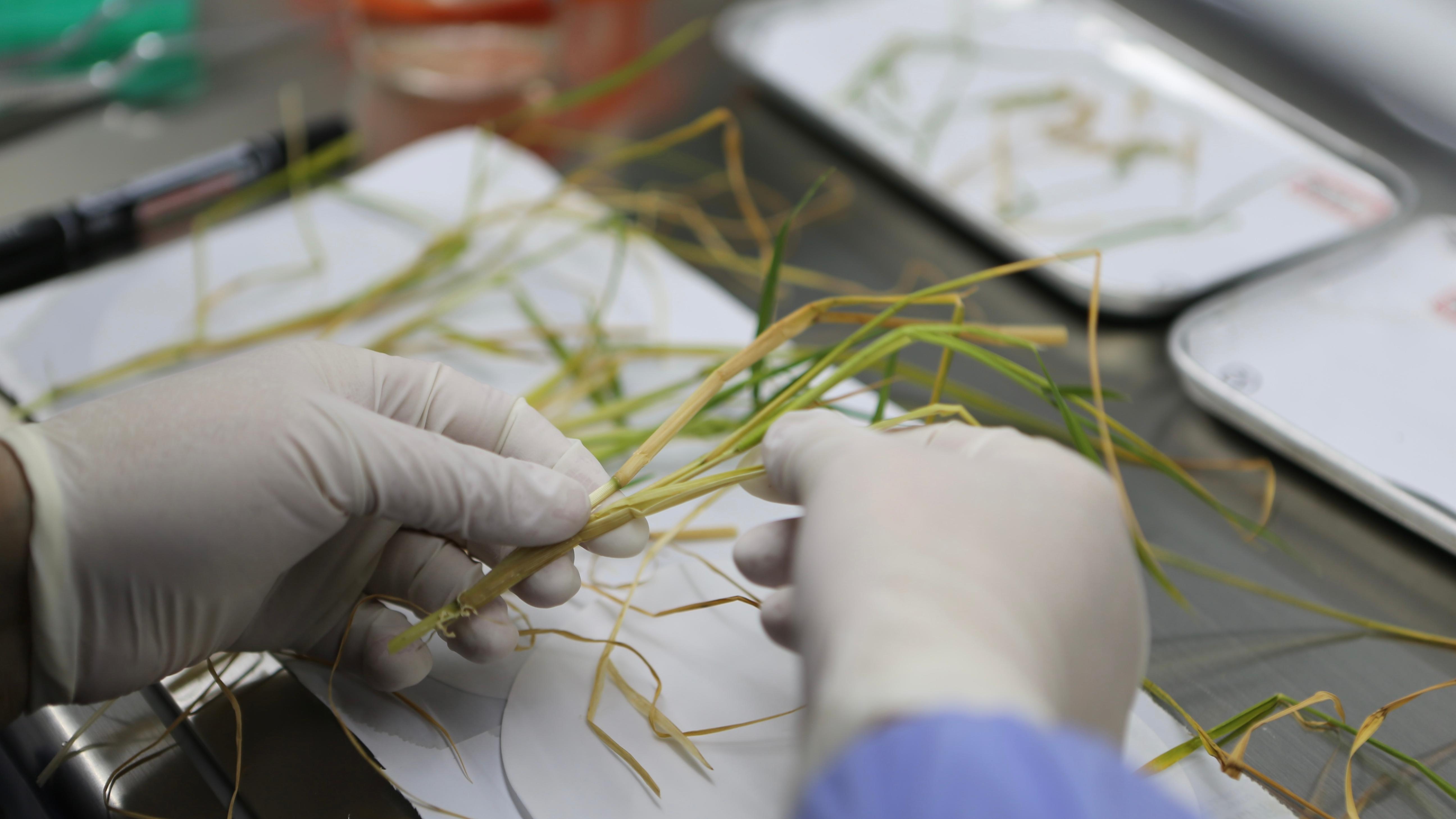 Scientific experimental samples from China's space station return to ...