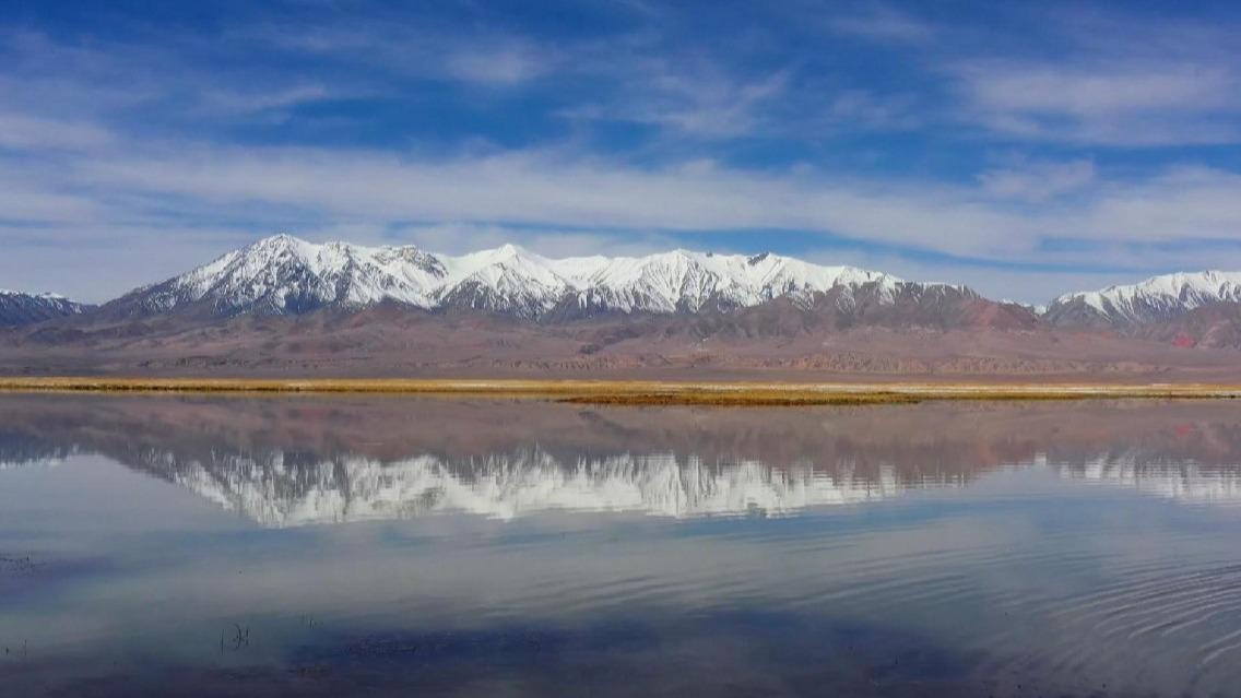 China has set up new-type protected area system: white paper_英语频道_央视网 ...