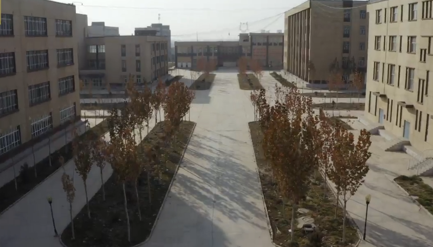 What is really going on inside the 'vocational education and training ...