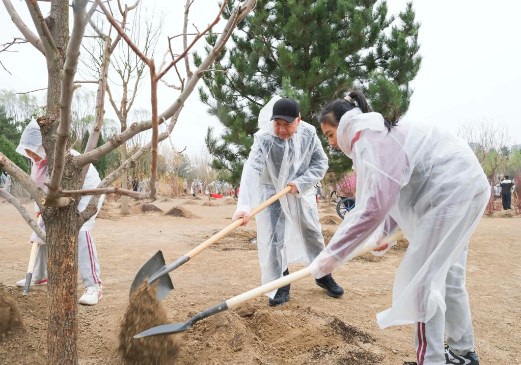 Xi plants trees in Beijing, urging more afforestation efforts for green ...